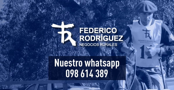 Escritorio Federico Rodríguez | Negocios rurales